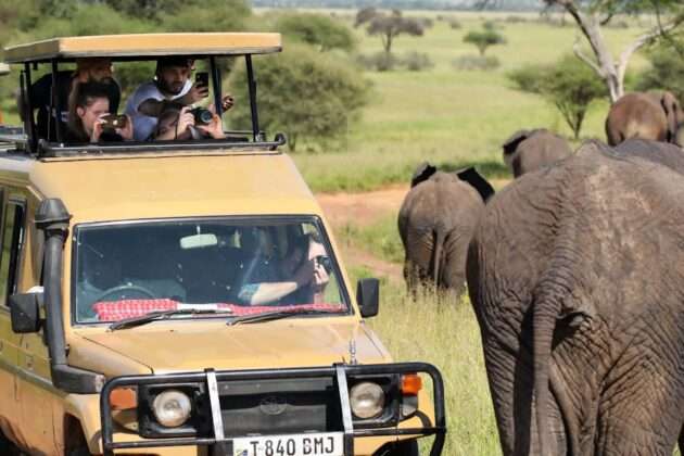 Top 10 Wildlife Safari Destinations for an Unforgettable