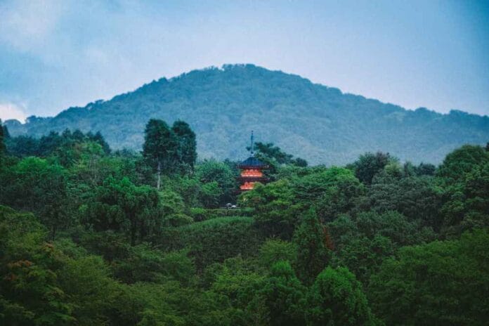 Zhangjiajie Avatar Mountains: Guide to China's Floating Peak